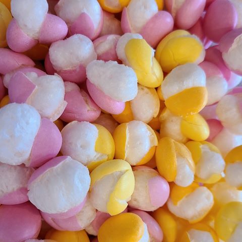 Freeze dried Mentors | The Manic Maker